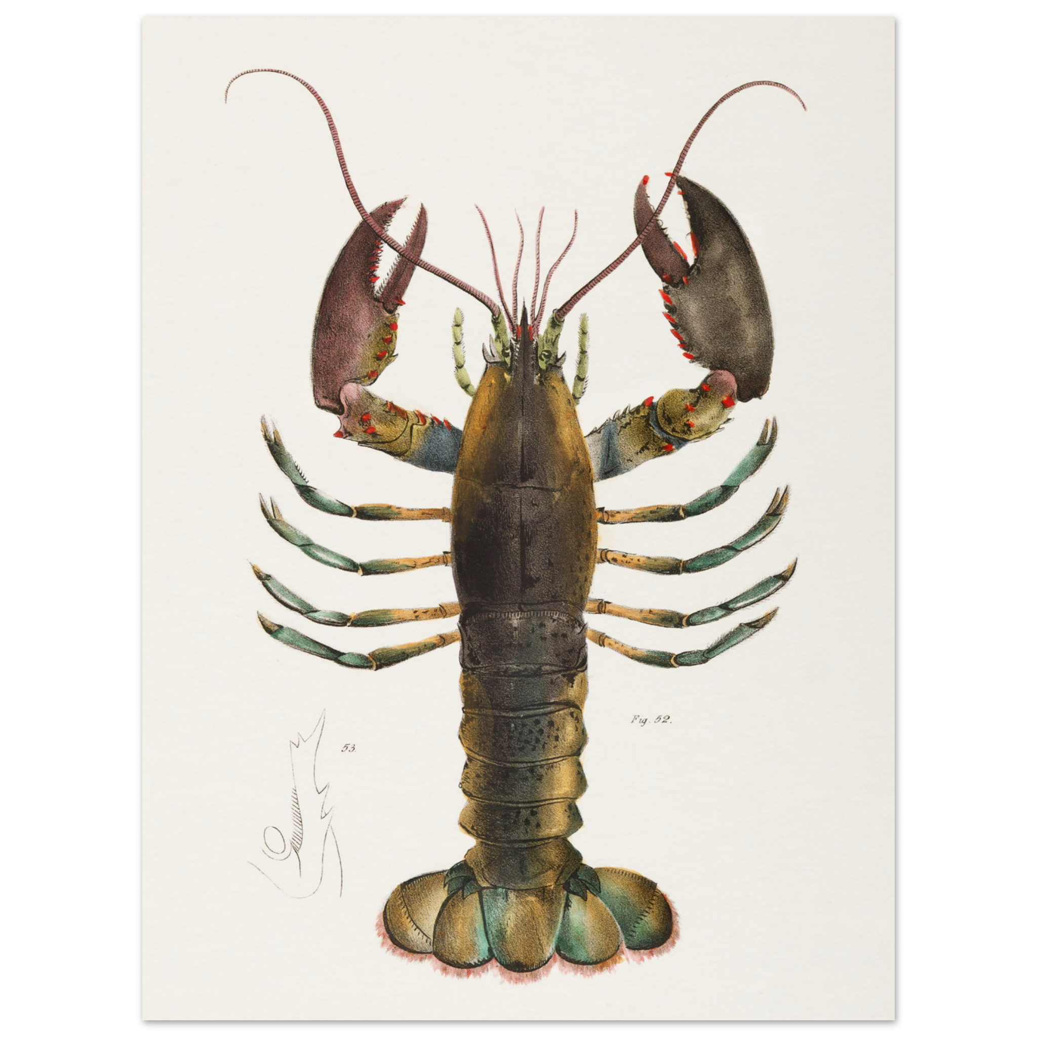 Hummer Poster – Oceanstore